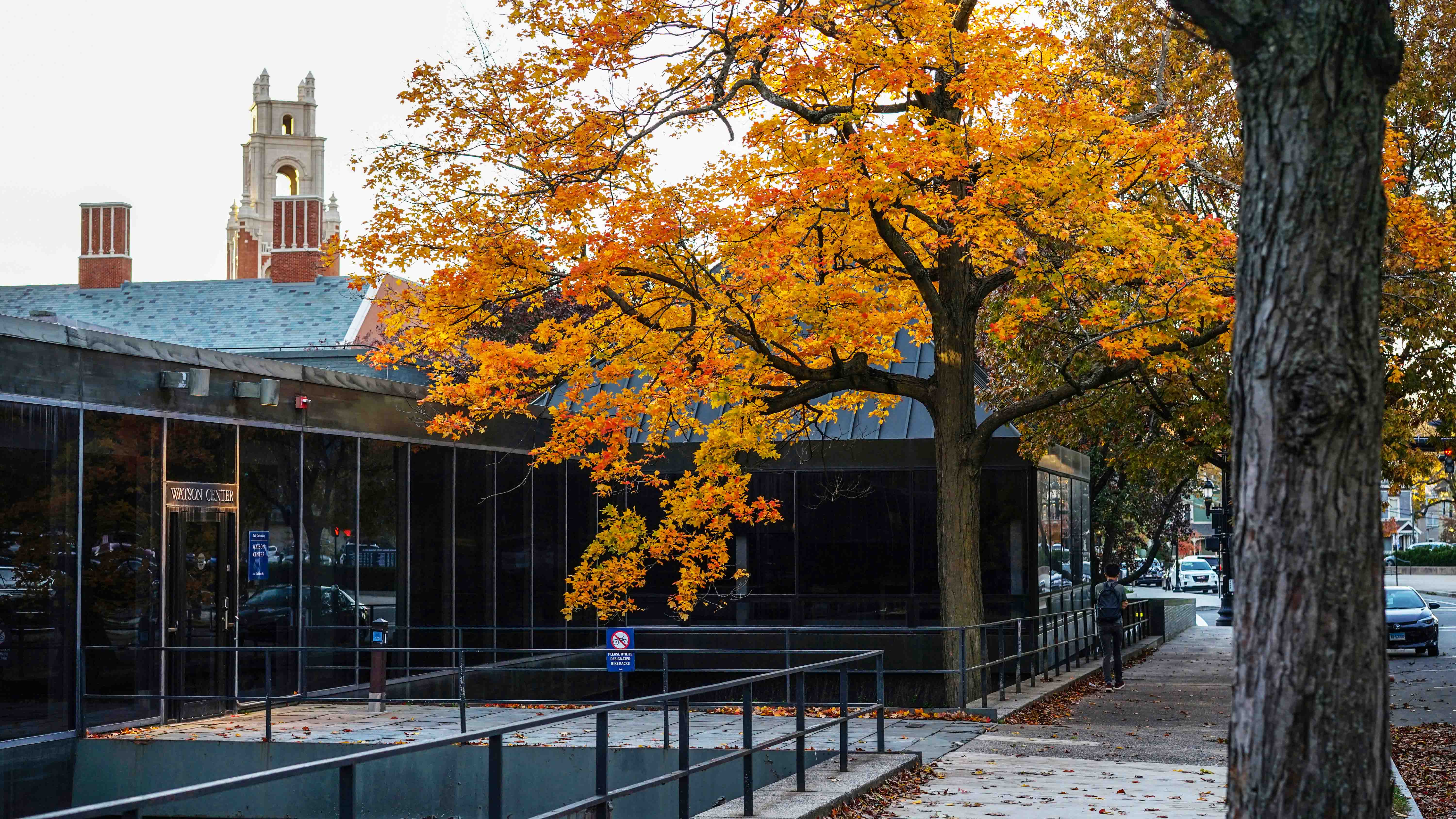 Life after suspension: A look at Yale’s protocols | Yale Daily News