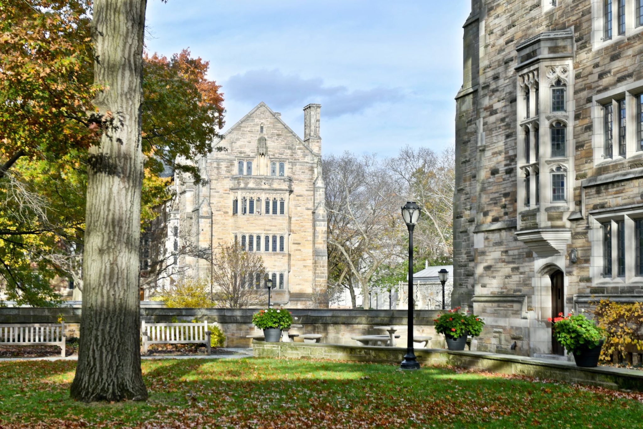 Internal slides detail potential plan for fall | Yale Daily News