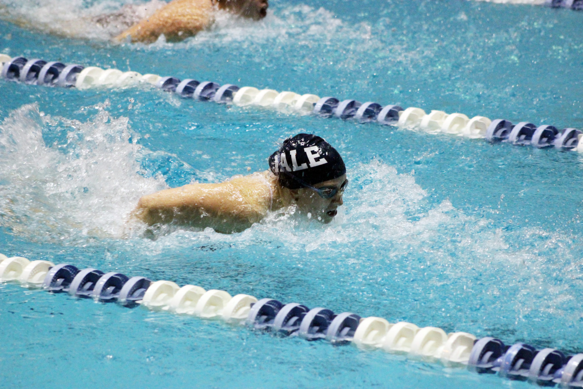 SWIMMING & DIVING: Elis fall short of Ivy repeat | Yale Daily News