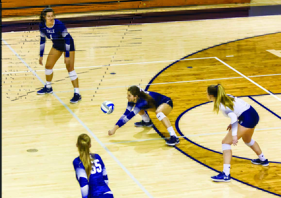 Yale volleyball wins Ivy League Championship | Yale Daily News