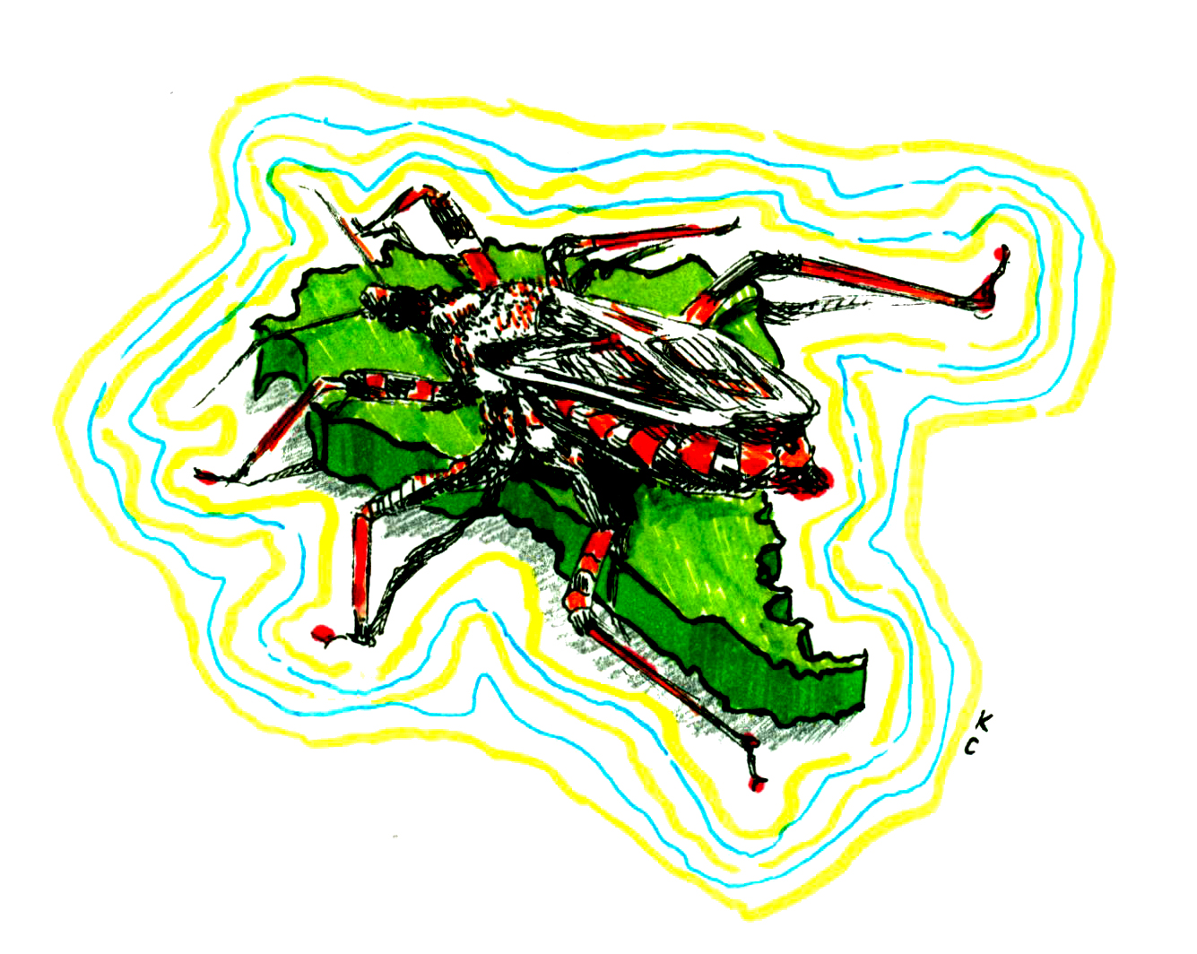 Yale researchers assess Chagas elimination plan | Yale Daily News